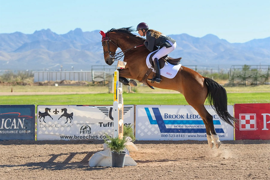 Revolutionizing Equine Recovery - How Horse Health & Wellbei...