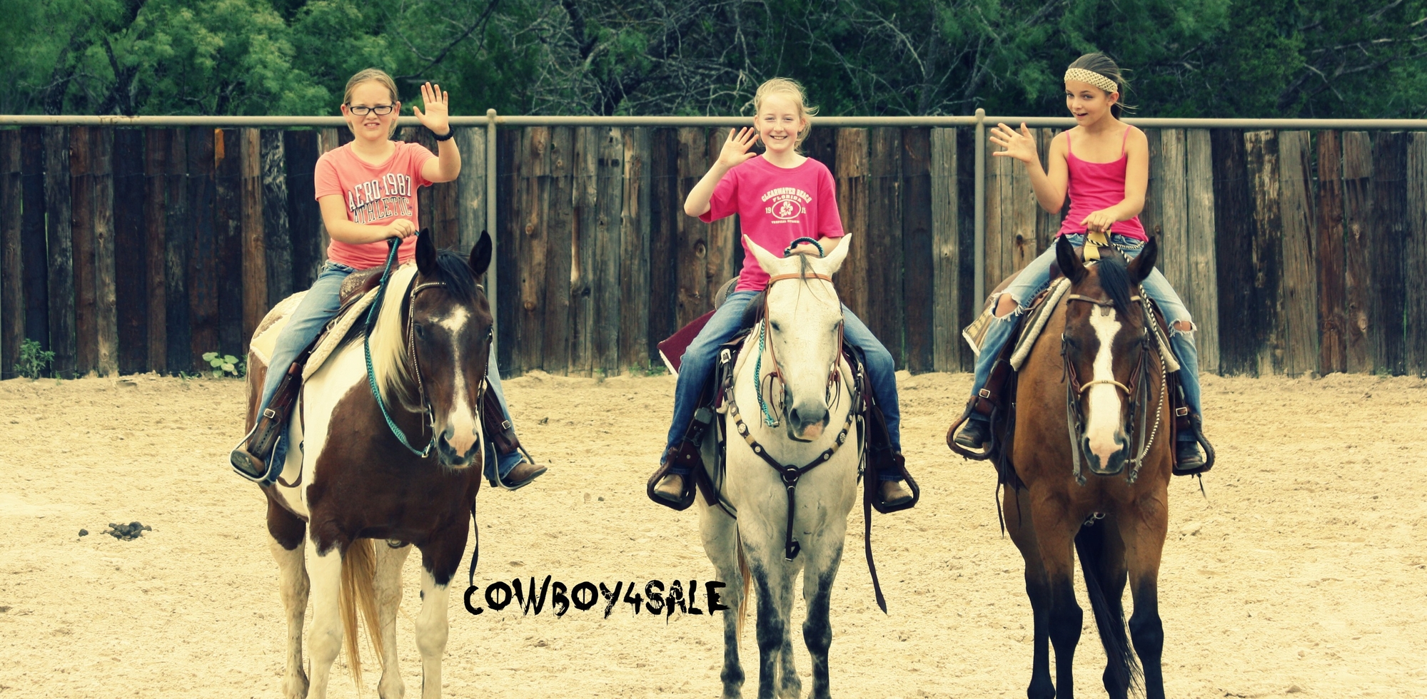TNT Ranch | Horse Trainers