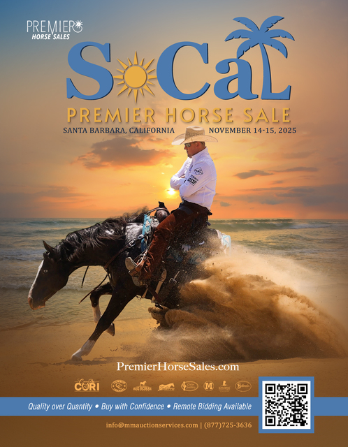 Horses for Sale in Los angeles, | HorseClicks
